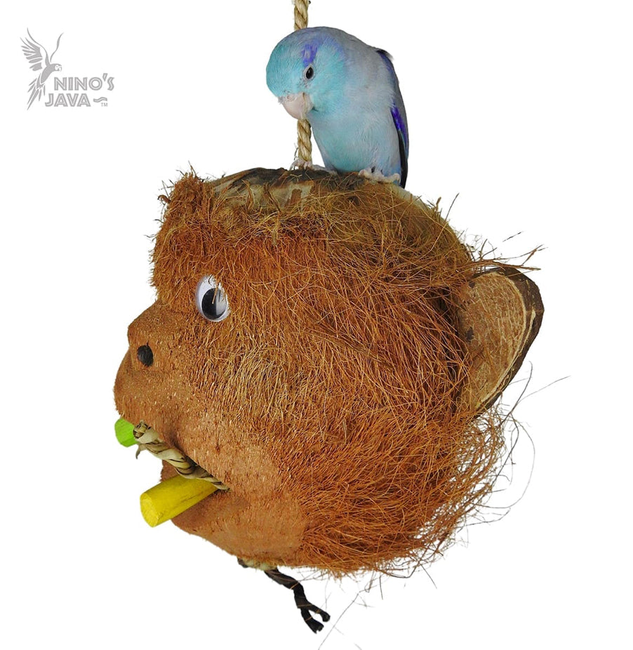 Mr Monkey - Nino’s Java – All About Birds