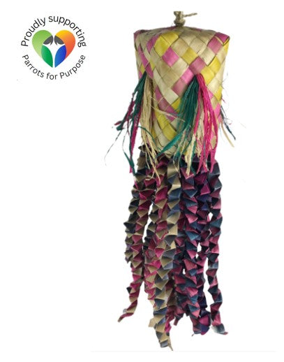 Octopus - Nino’s Java – All About Birds