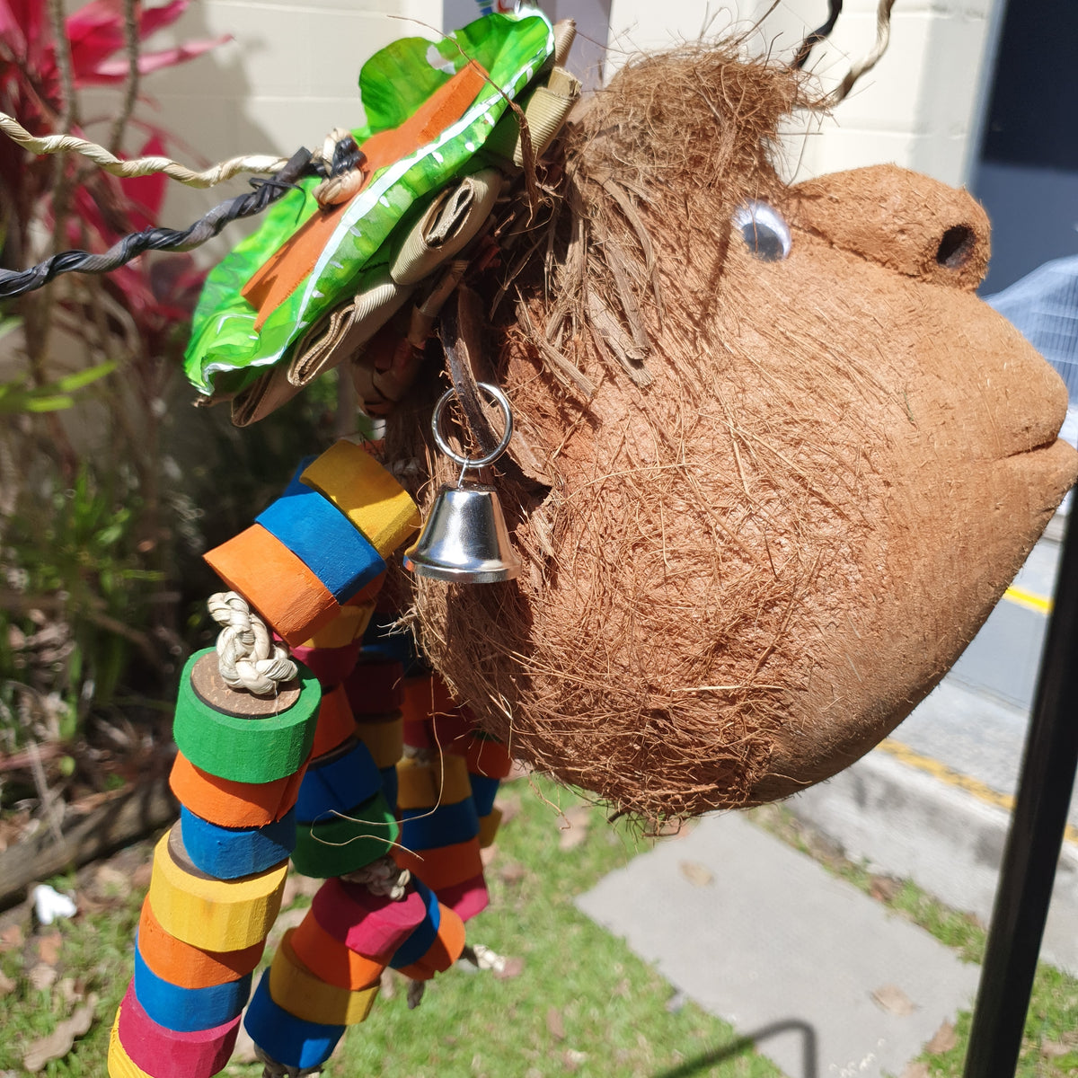 Nino's Java Miss Monkey – All About Birds