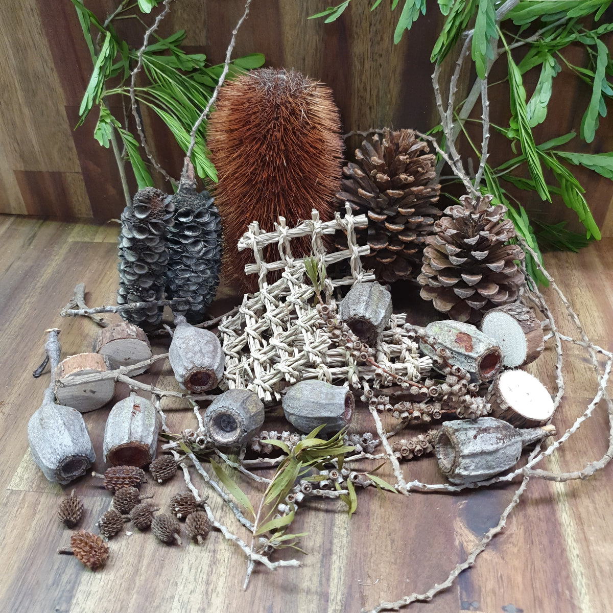 Natural Bird Toys | Parrot toys | Cage accessories | Australian Made ...