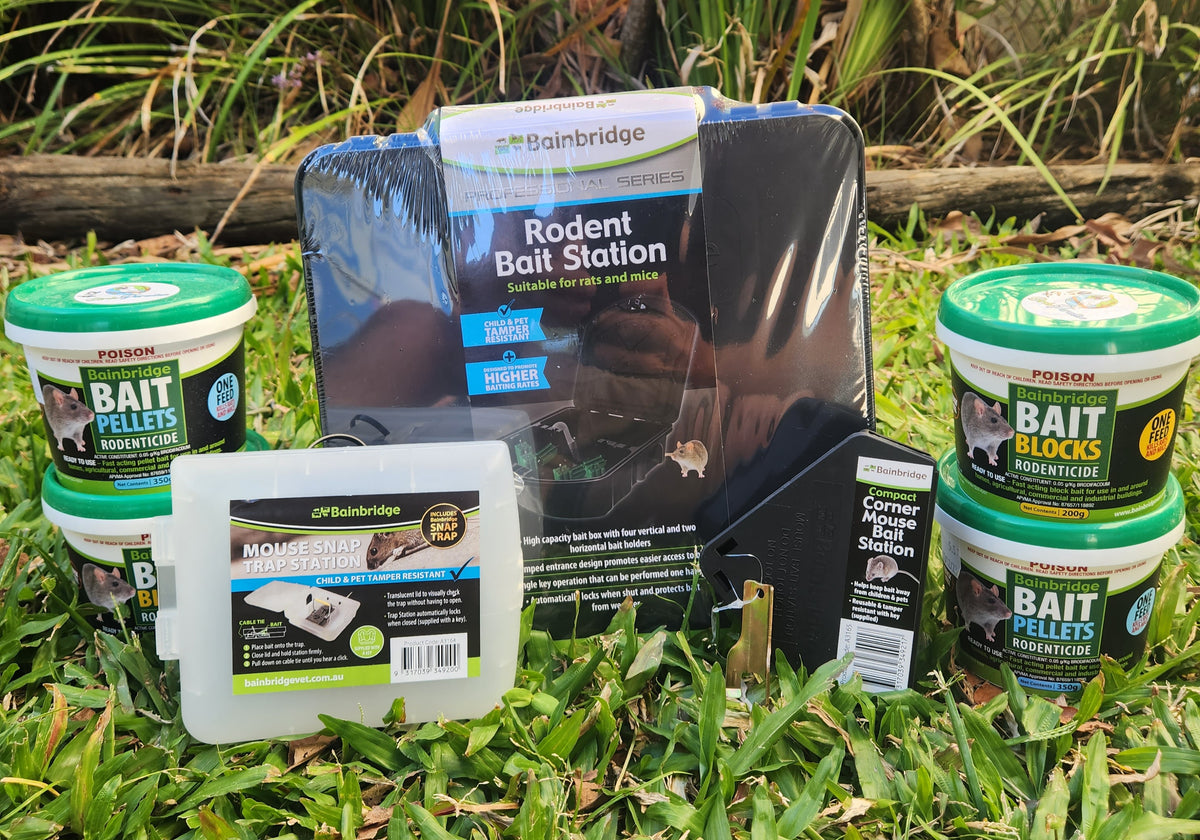 Rodent control – All About Birds
