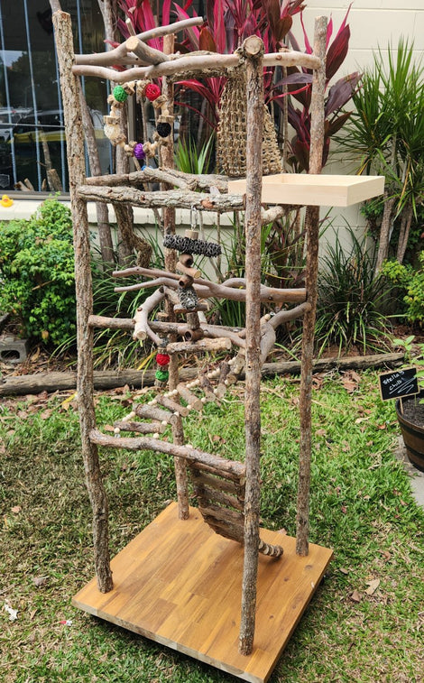 Play gyms and Bird Stands – All About Birds