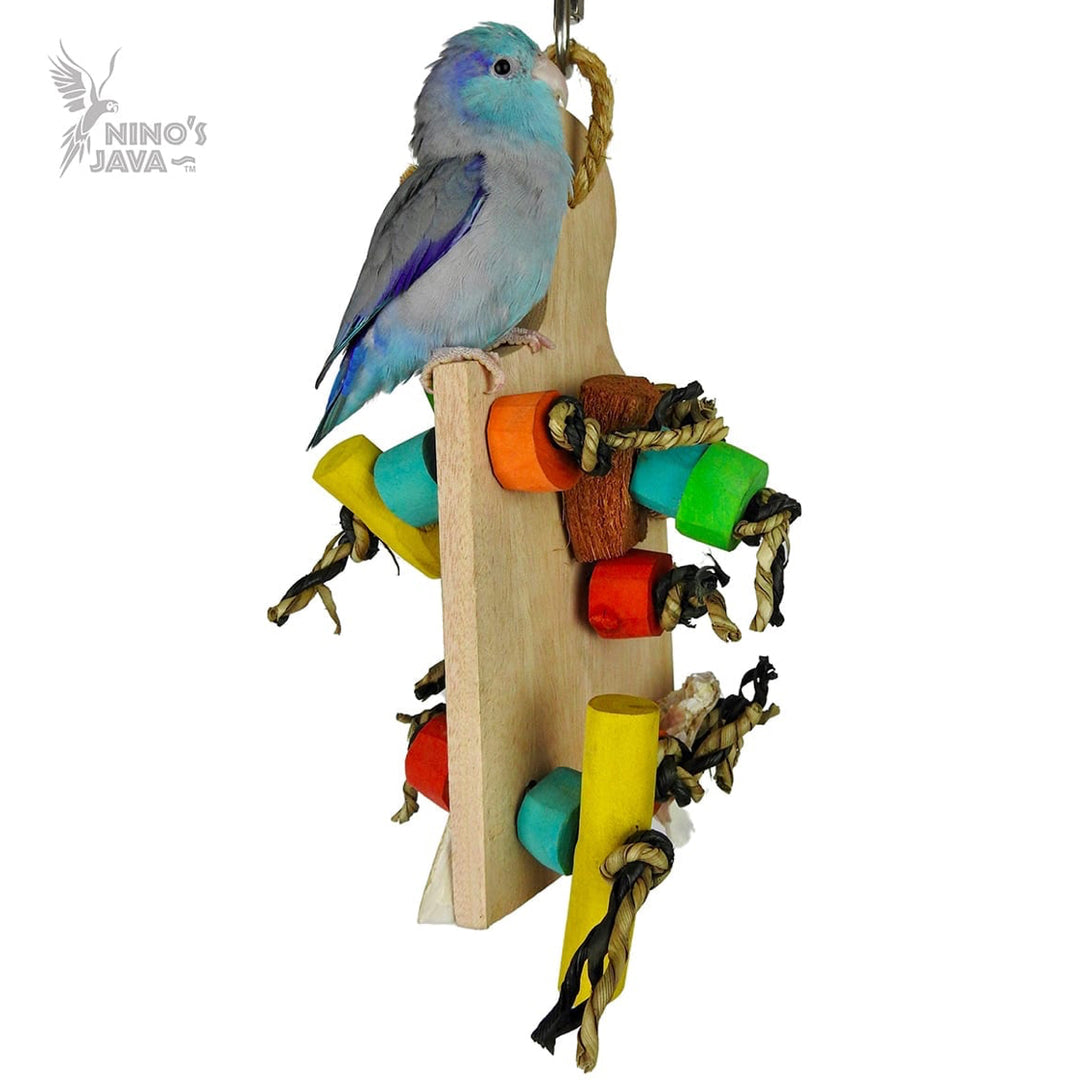 NikNak - Nino's Java – All About Birds