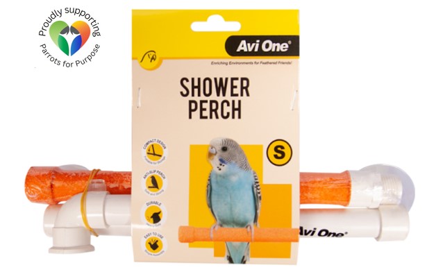Avi One Shower Perch | Bird Accessory | Window Perch – All About Birds