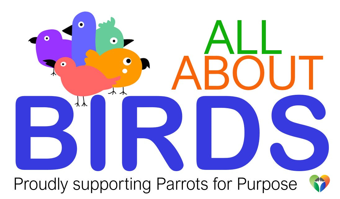 All About Birds | Gold Coast | Bird Toys | Accessories | Food