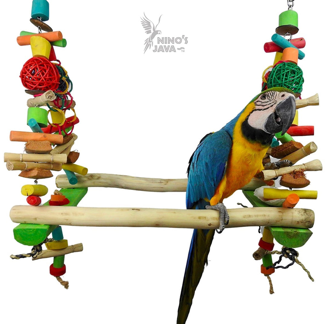 Bridge - Nino’s Java – All About Birds