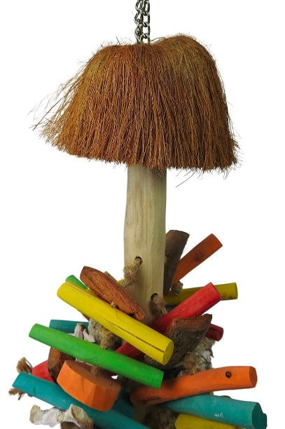 Java Bush - Nino’s Java – All About Birds