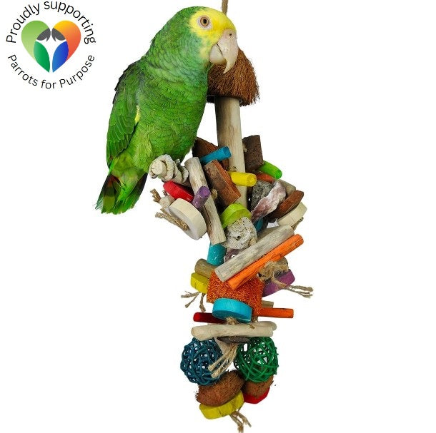 Java Bush - Nino’s Java – All About Birds