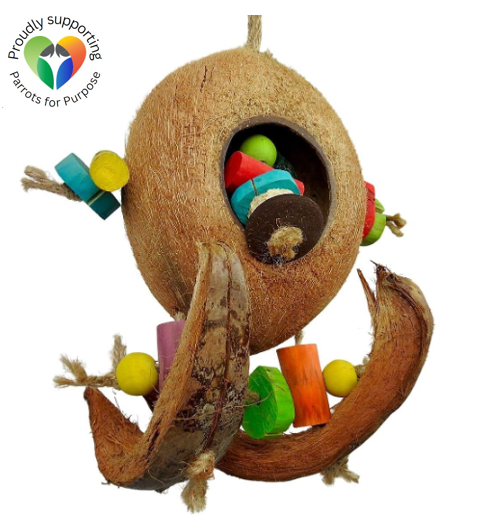 Coco Surf - Nino’s Java – All About Birds