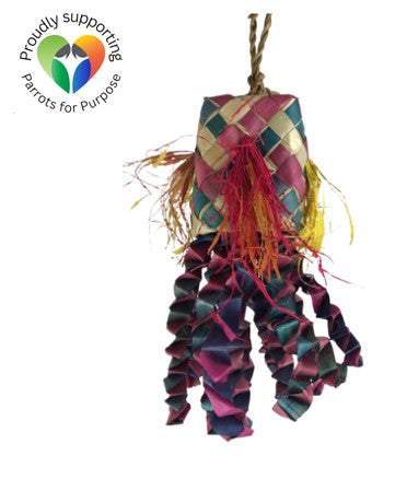 Octopus - Nino’s Java – All About Birds