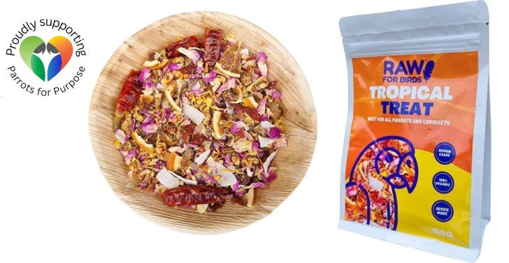 RAW for Birds - Tropical Treat – All About Birds