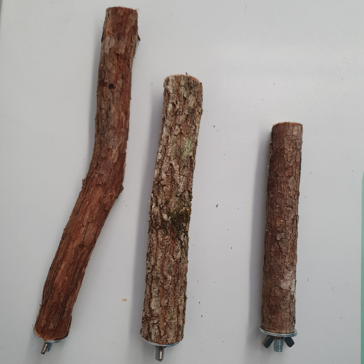 Natural perches | bird perch | bird safe perch | Gold coast – All About ...