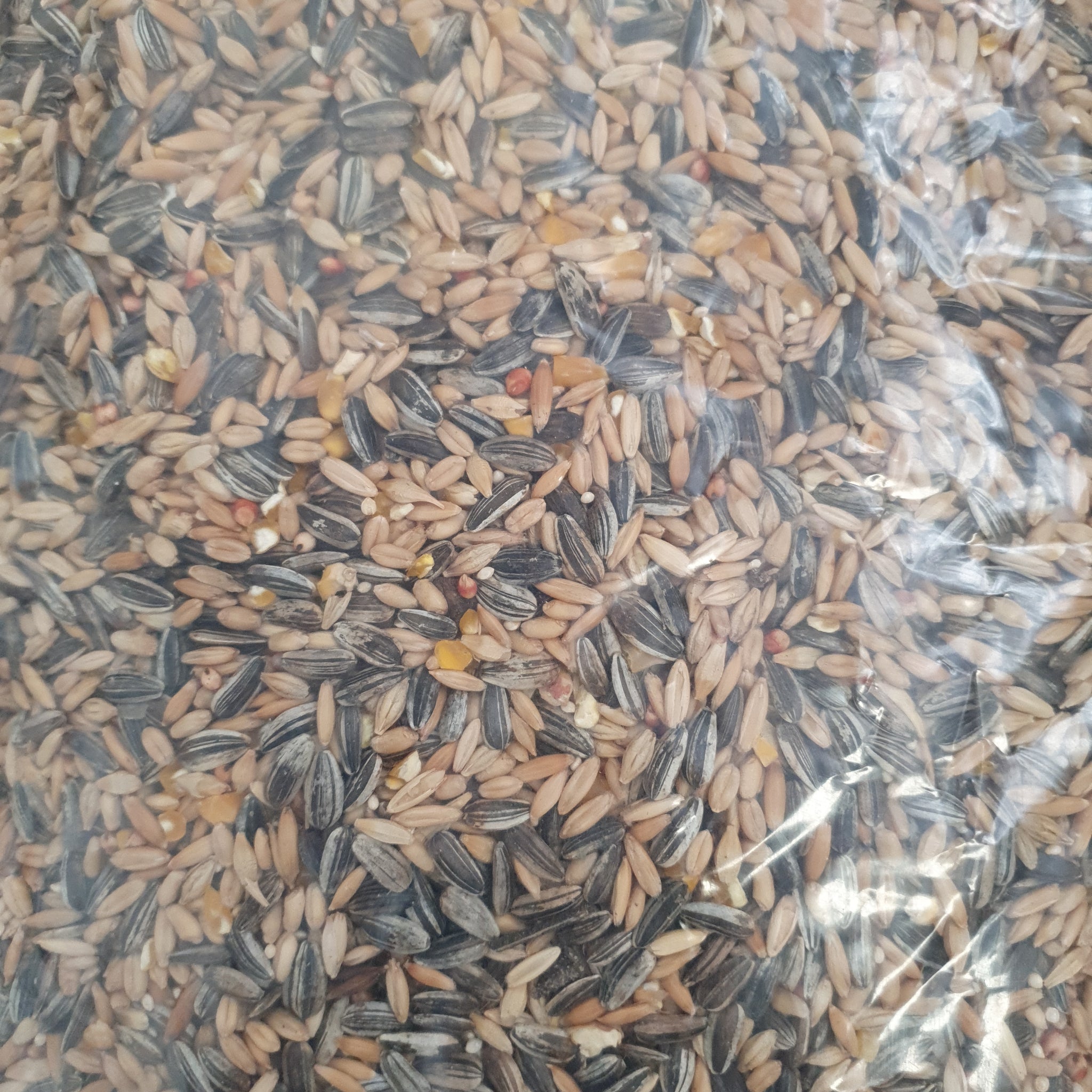 Wild bird seed | Parrot seed | Birds Paradise | Quality seed – All ...