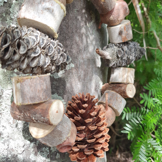 Bush Ring - All About Birds