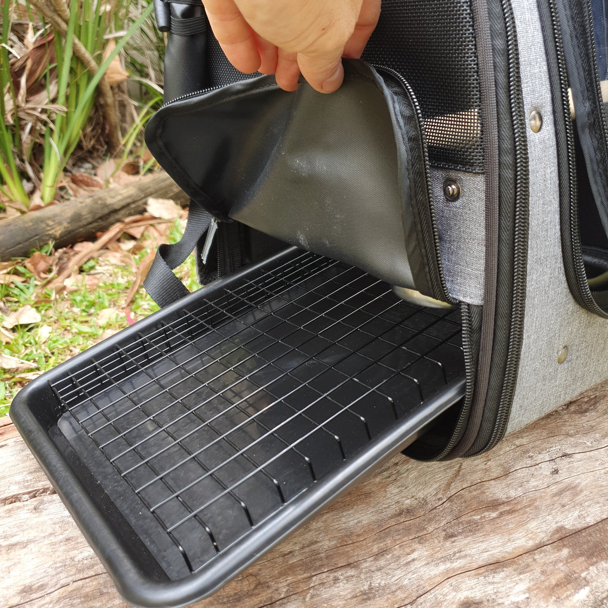 Bird Backpack – All About Birds