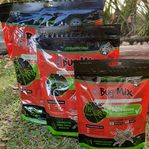 Products – Page 7 – All About Birds