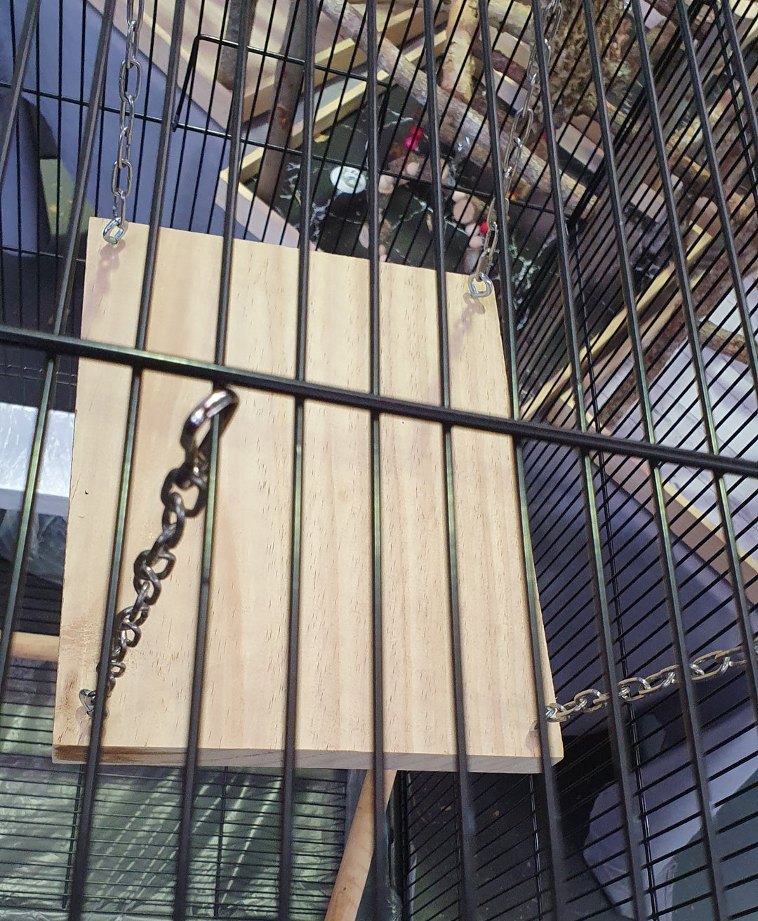 Floating Platform Perch - All About Birds