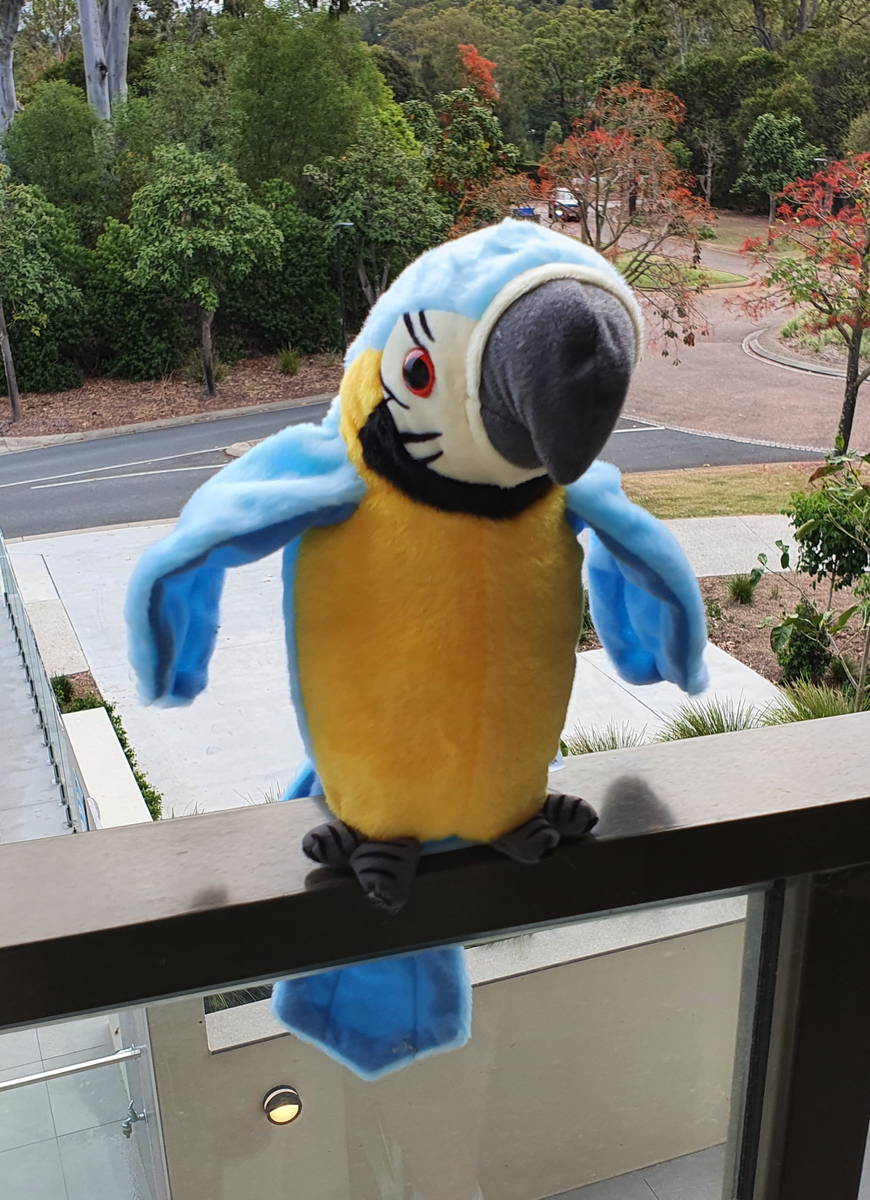 Talking toy parrots | kids toy | Plush parrot toy | Birds paradise ...