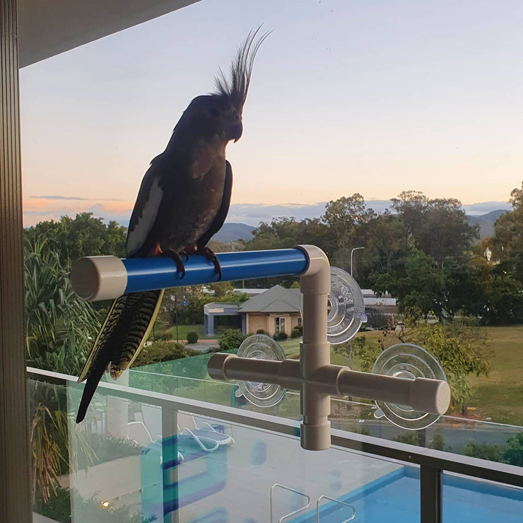 Window perch | Shower perch | bird accessory | Birds paradise – All ...